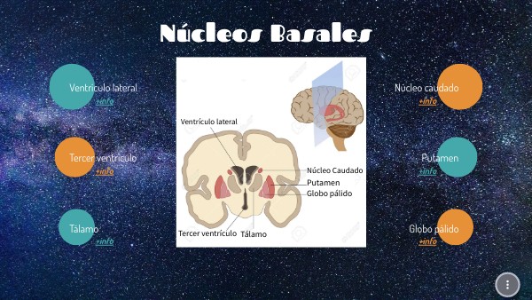 Núcleos basales