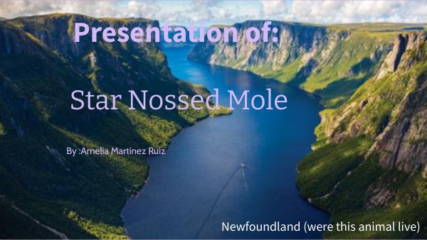 Star Nossed Mole | Genially