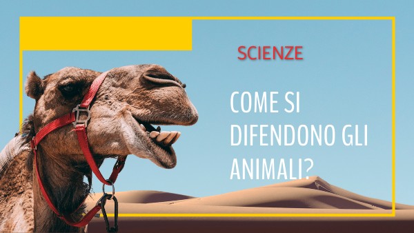 prede_e_predatori_maestra_Maria