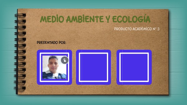 MEDIO AMBIENTE PA3