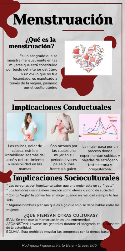 INFOGRAFÍA SOBRE LA MENSTRUACIÓN. | Genially