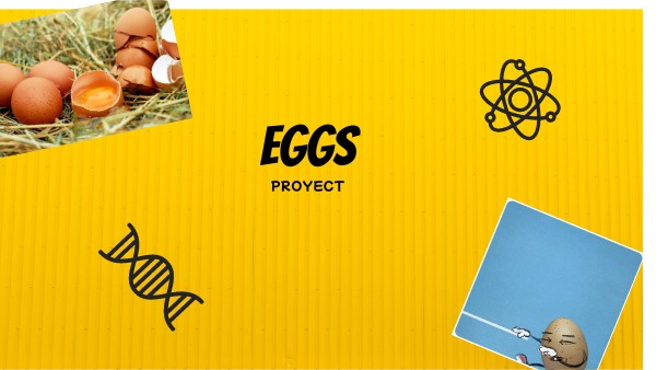 THE EGG PROYECT