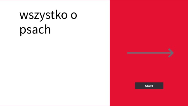 BASIC MARKETING PROPOSAL | Genially