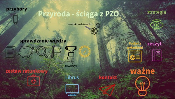 PZO przyroda sp kiwity