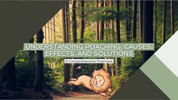 Poaching Presentation Genially