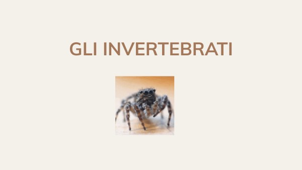 INVERTEBRATI | Genially