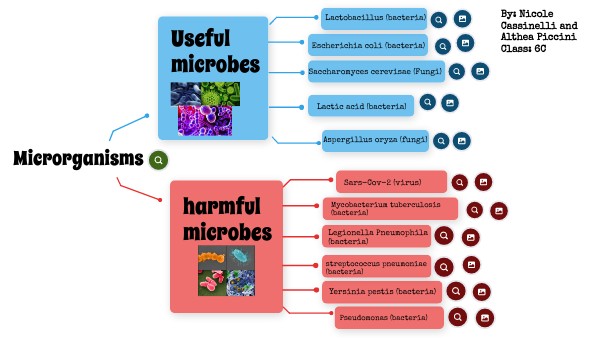 Science Useful and harmful microbes | Genially