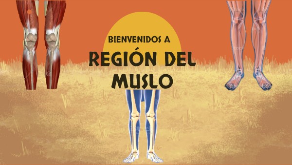 REGIÓN DEL MUSLO | Genially