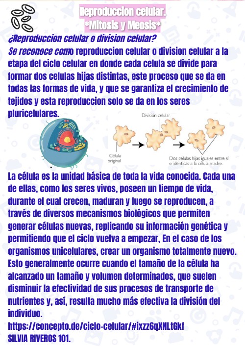 Infografia Sriveros3 | Genially