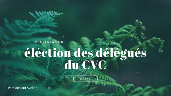 DELEGUES DU CVC | Genially