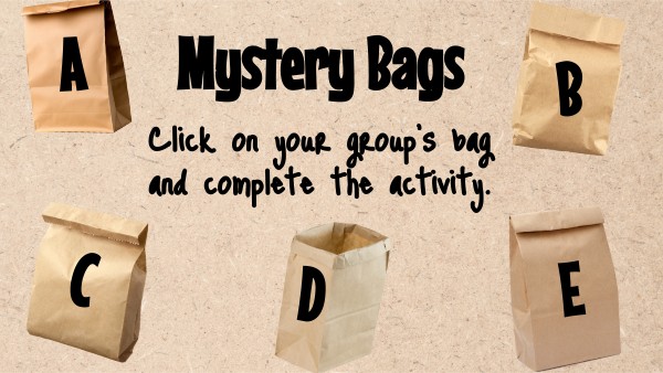 Mystery Bags Activity