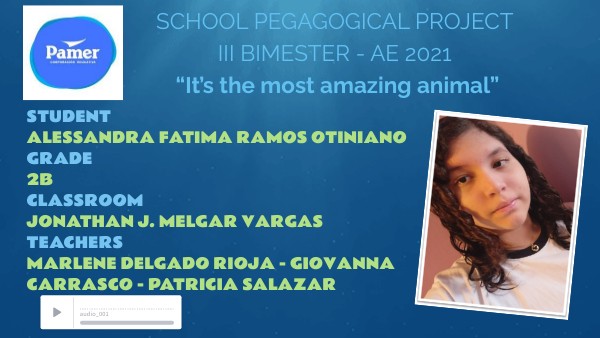 PROJECT III BIMESTER