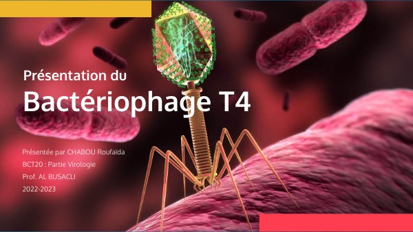 Bactériophage T4 | Genially