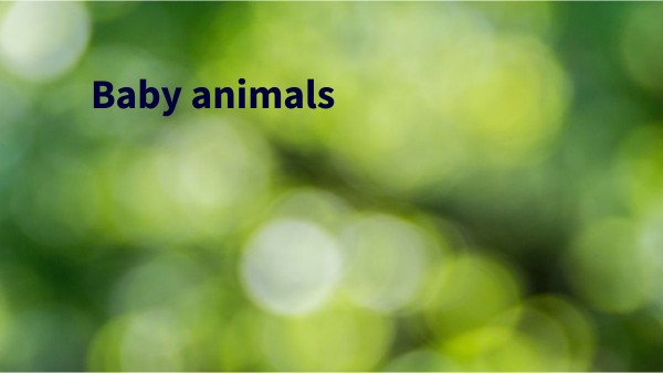 BABY ANIMALS | Genially