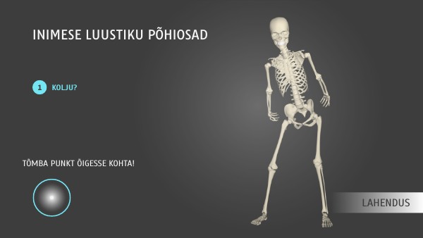 INIMESE LUUSTIKU PÕHIOSAD