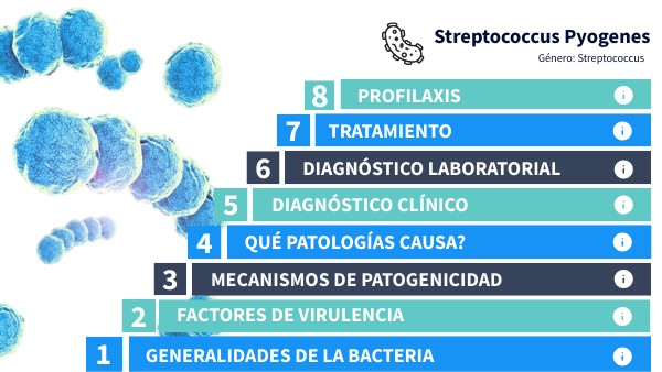 Streptococcus Pyogenes | Genially