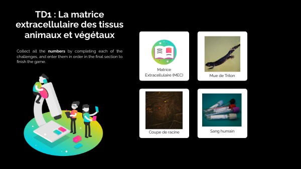 2nde_Chap1_Matrice | Genially