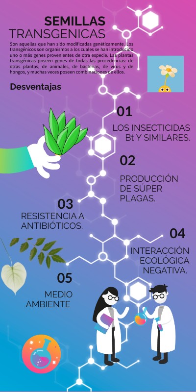 DESVENTAJAS SEMILLAS TRANSGENICAS | Genially