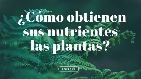Necesidades de las plantas | Genially