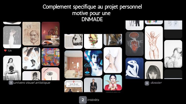 Complément spécifique au projet personnel motivé pour une DNMADE | Genially