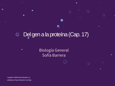 Cap 17 Del gen a la proteína | Genially