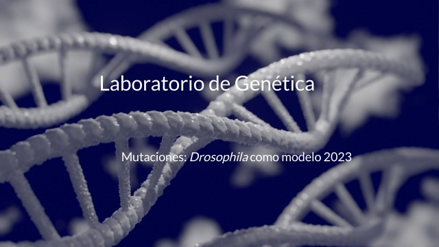 Mutaciones presentación 2021 (1) | Genially