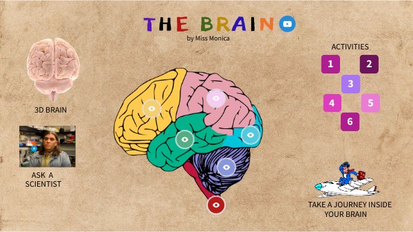 THE BRAIN | Genially