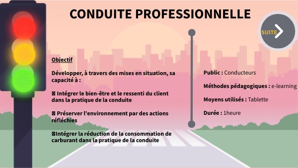 CONDUITE PROFESSIONNELLE
