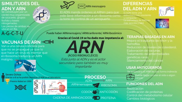 ARN lucas | Genially