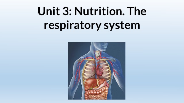 Unit 3. The respiratory system