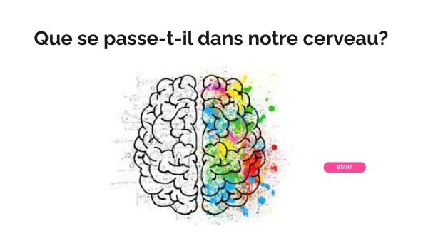 fonctionnement complexe du du cerveau et intégration | Genially