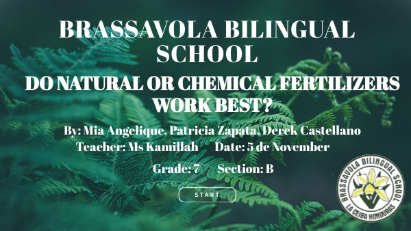 Natural VS Chemical Fertilizer