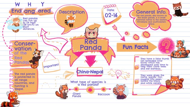 ENDANGERED SPECIES OF RED PANDAS INFOGRAFIC