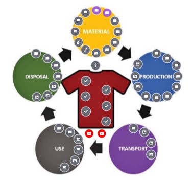 The life cycle of a T-shirt and its impact | Genially