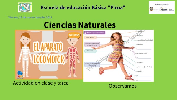 P.2-s2-CCNN-ECA | Genially