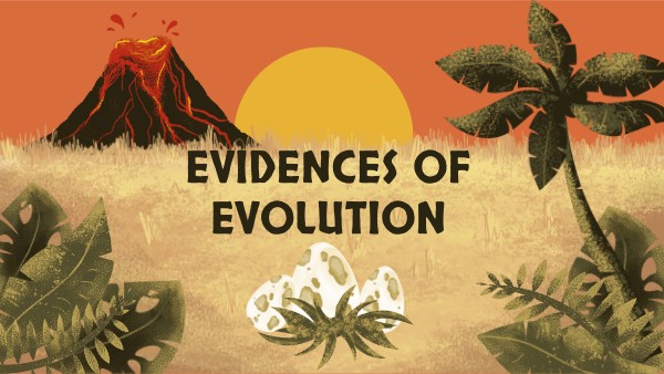 Evolution evidences | Genially