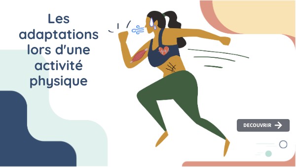 Adaptations physiologiques et métaboliques à l'effort physique