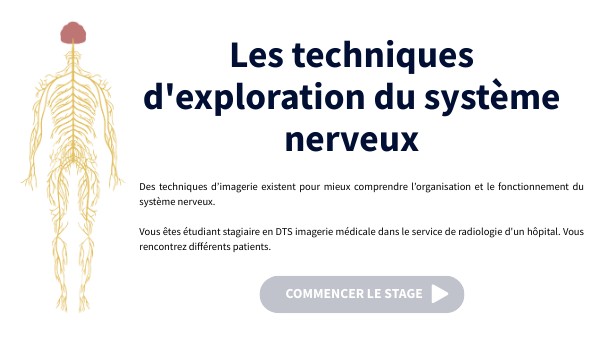Techniques d'exploration système nerveux | Genially