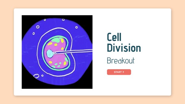 Cell Division BREAKOUT