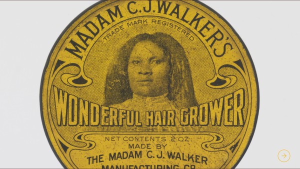 Famous Entrepreneur Project