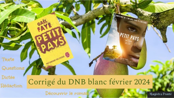 Corrigé DNB Gaël Faye | Genially