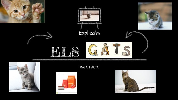 EXPLICA'M ELS GATS