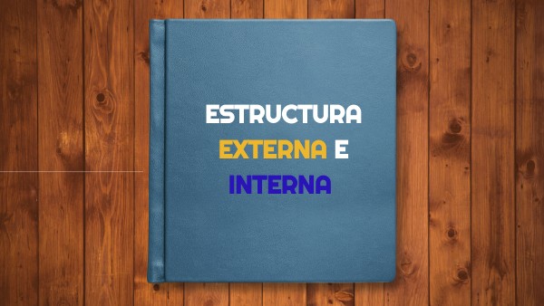 Estructura externa e interna