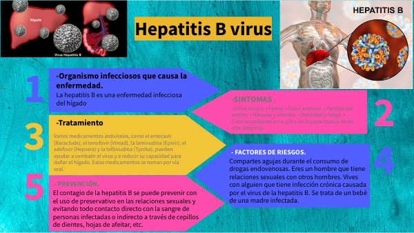 hepatitis B | Genially