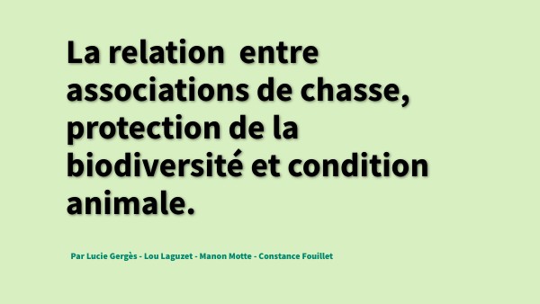 Présentation chasse | Genially