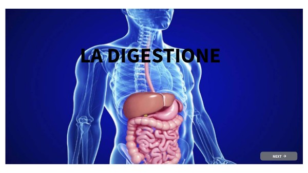La Digestione | Genially