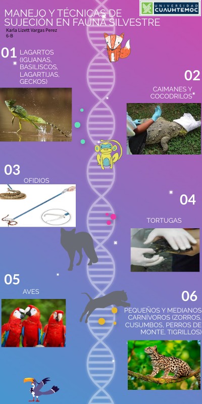 BIOLOGY VIBRANT TIMELINE