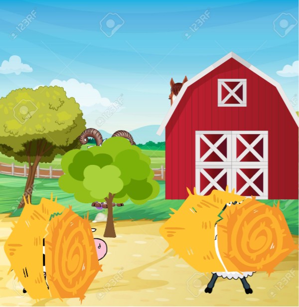 HIDDEN FARM ANIMALS