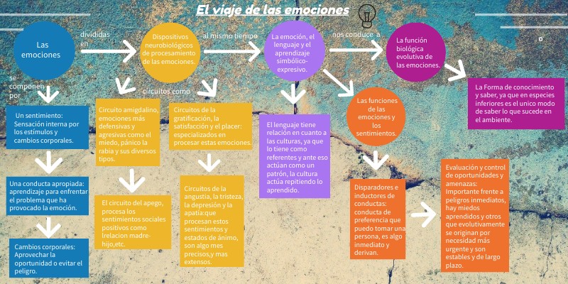 organizador grafico- Las emociones | Genially