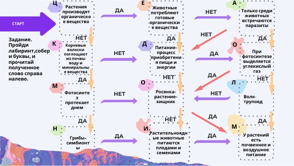 SEQUENCE MAZE | Genially